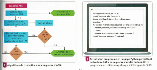 E.N. Travailler des compétences en SVT au lycée en programmant avec le ...